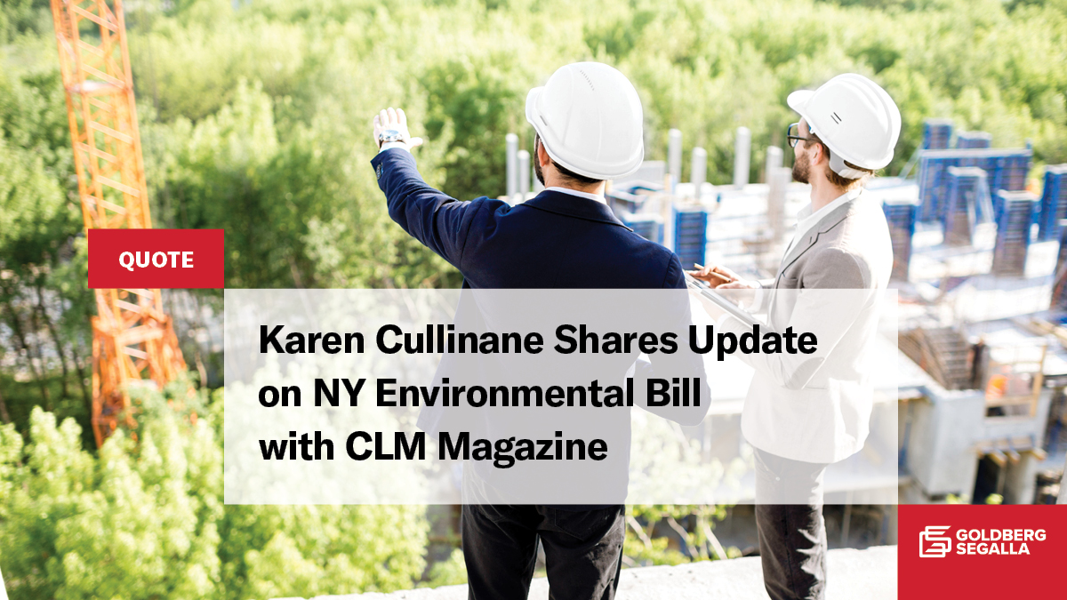 Karen Cullinane Shares Update on NY Environmental Bill with CLM ...