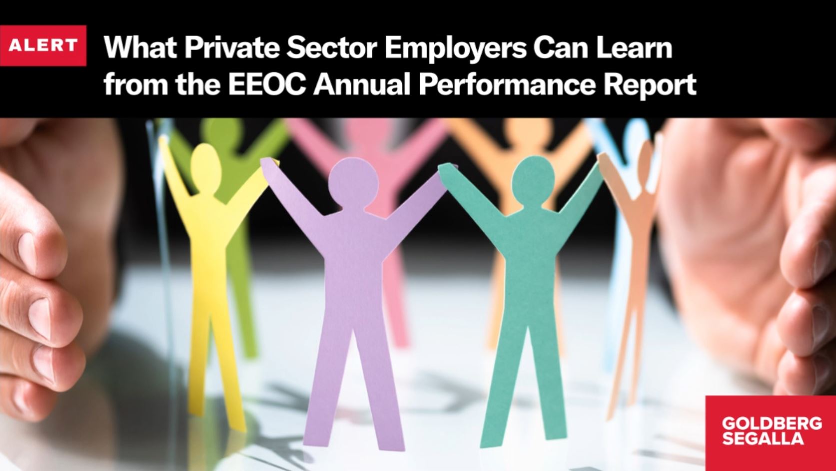 What Private Sector Employers Can Learn from the EEOC Annual ...
