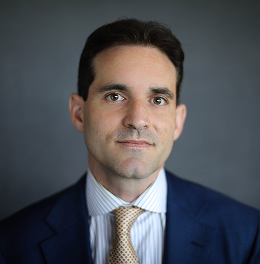 Fun Facts - Goldberg Segalla